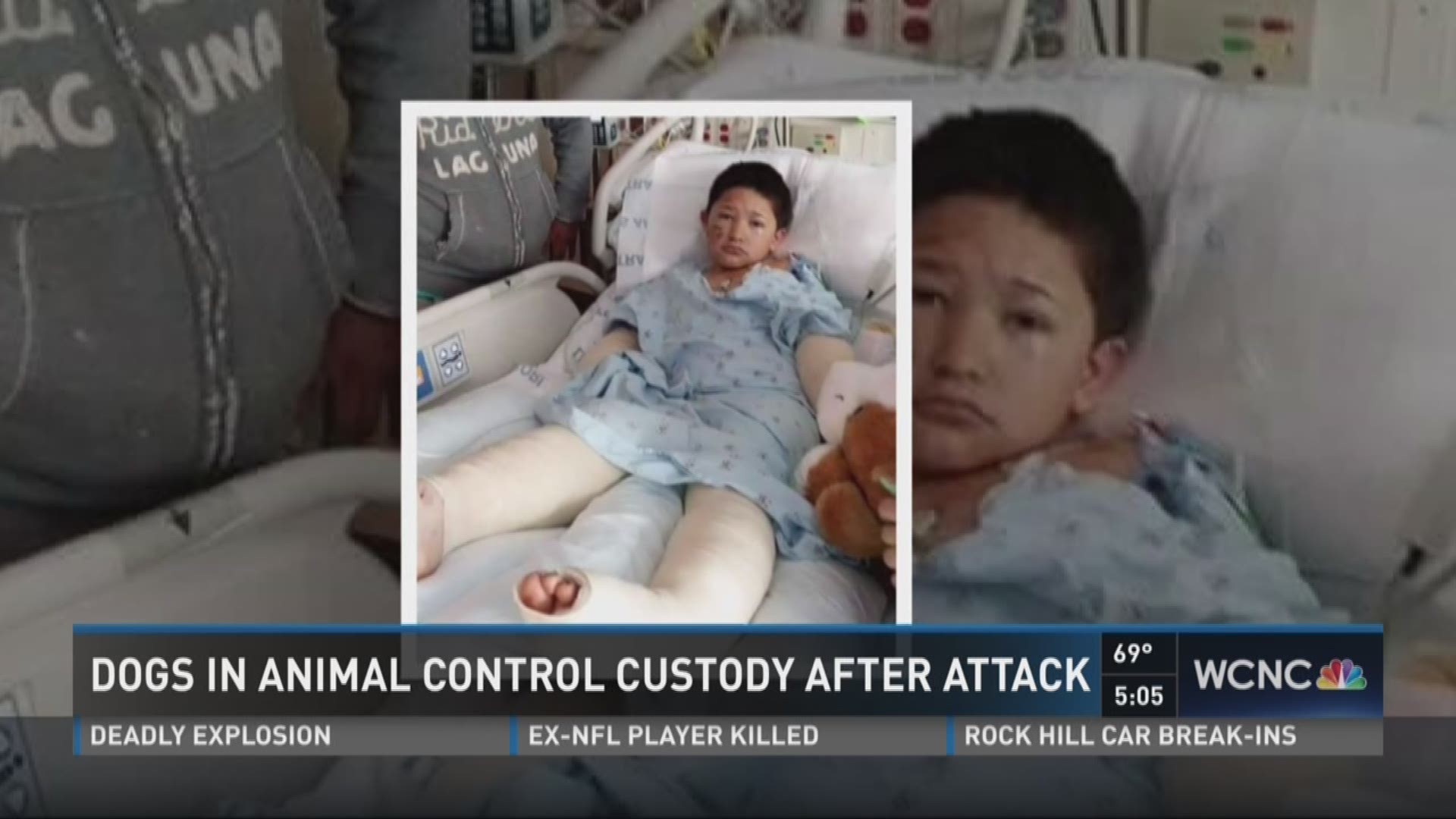 Dogs in brutal park attack quarantined | wcnc.com