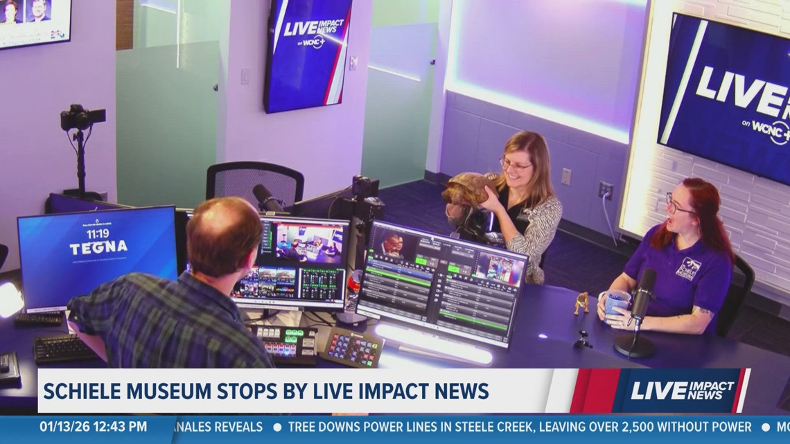 Schiele Museum introduces free STEM night in Gastonia | wcnc.com