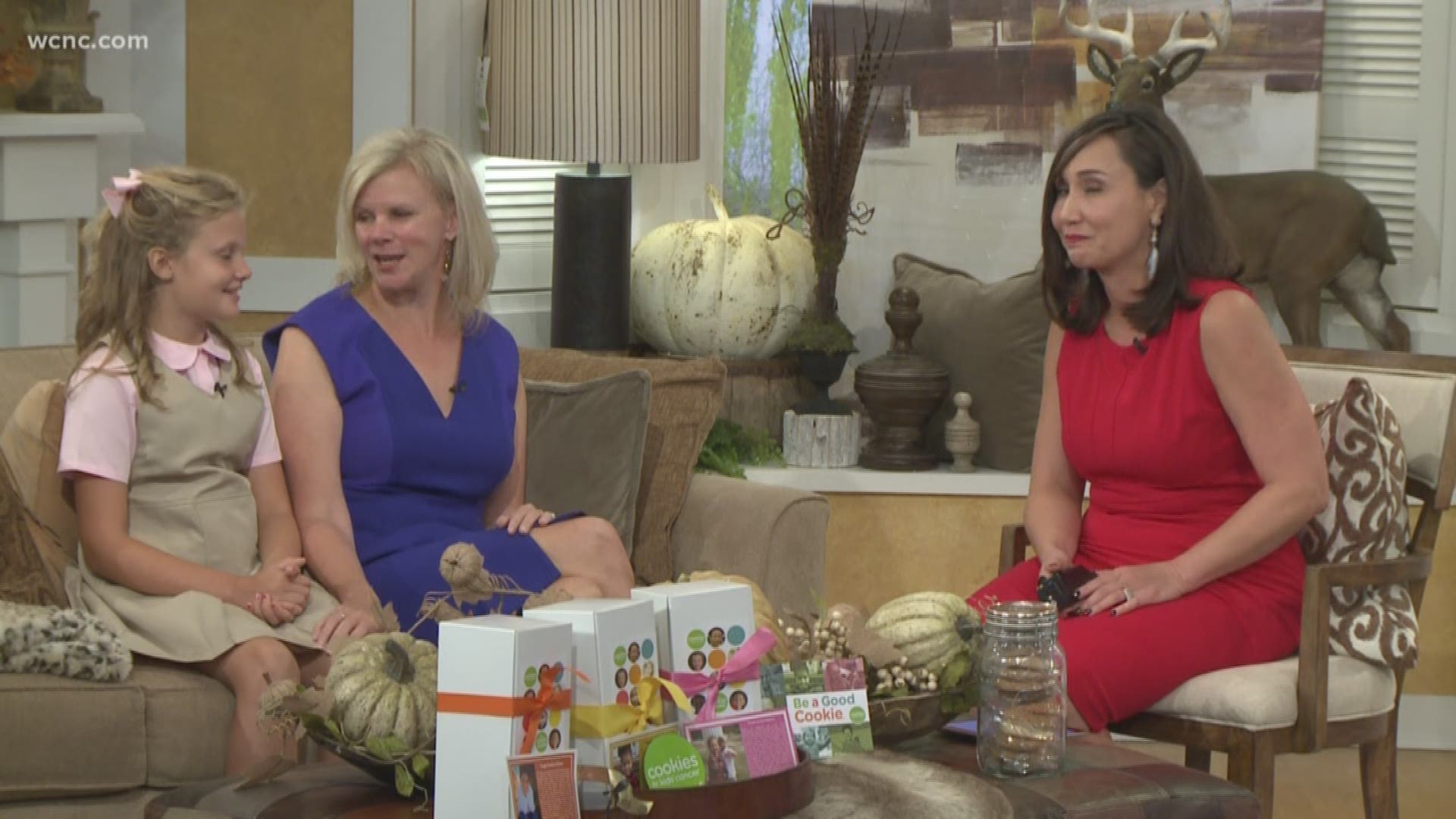 The mission of Cookies for kids’ Cancer and how you can help | wcnc.com