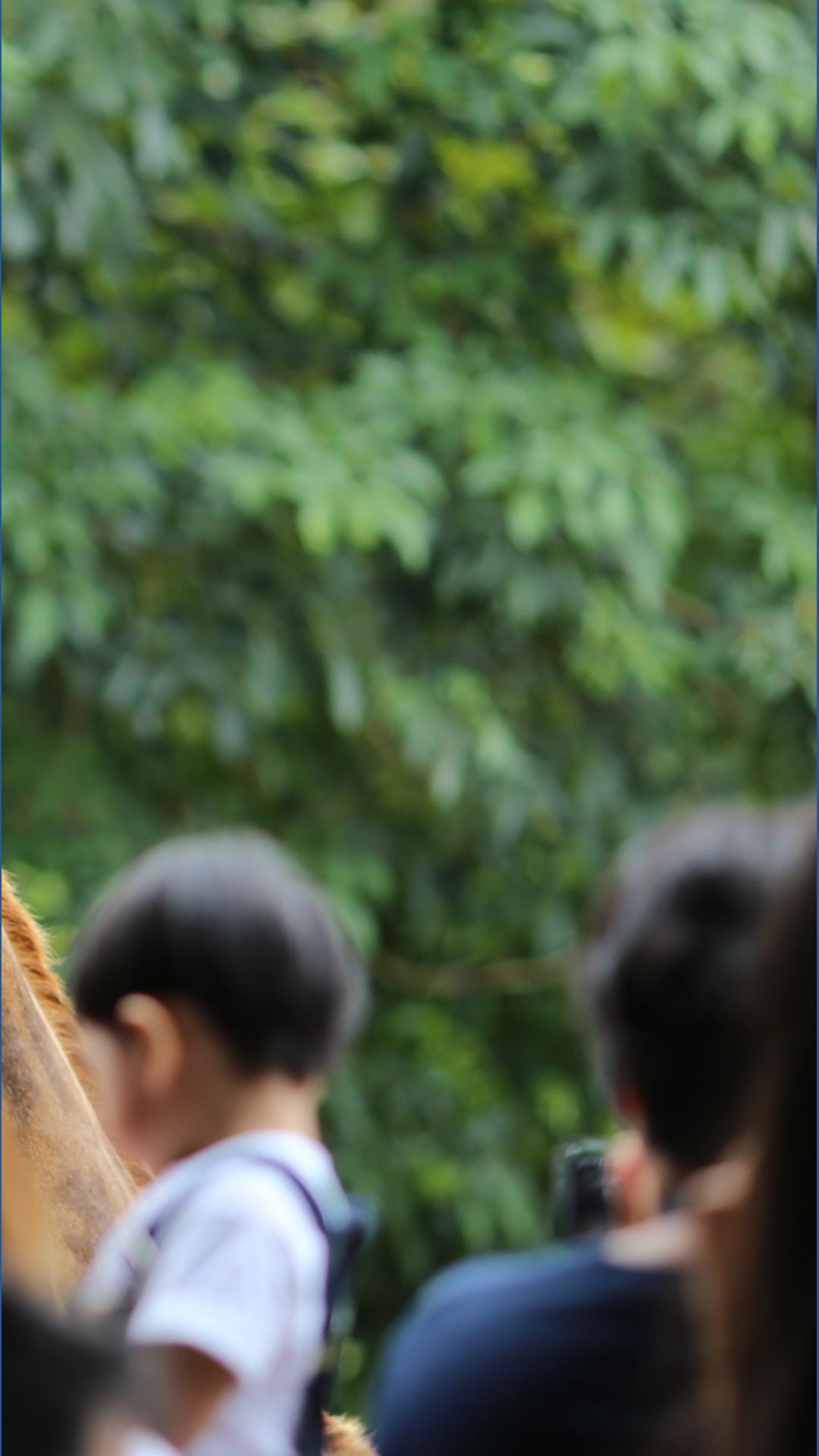 Surge pricing is coming to zoos, theme parks and family attractions ...
