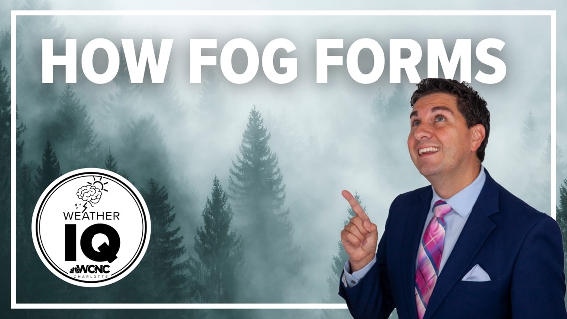 Weather IQ How Does Fog Form Wcnc Weather IQ How Does Fog Form Wcnc