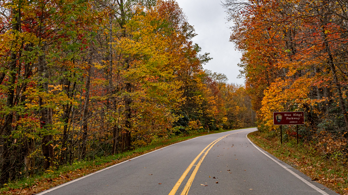 Fall leaves, colors impacted by drought stress in North Carolina | wcnc.com