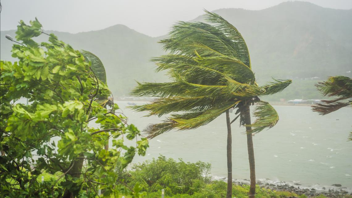 How many mph is the wind when it is windy or breezy | wcnc.com