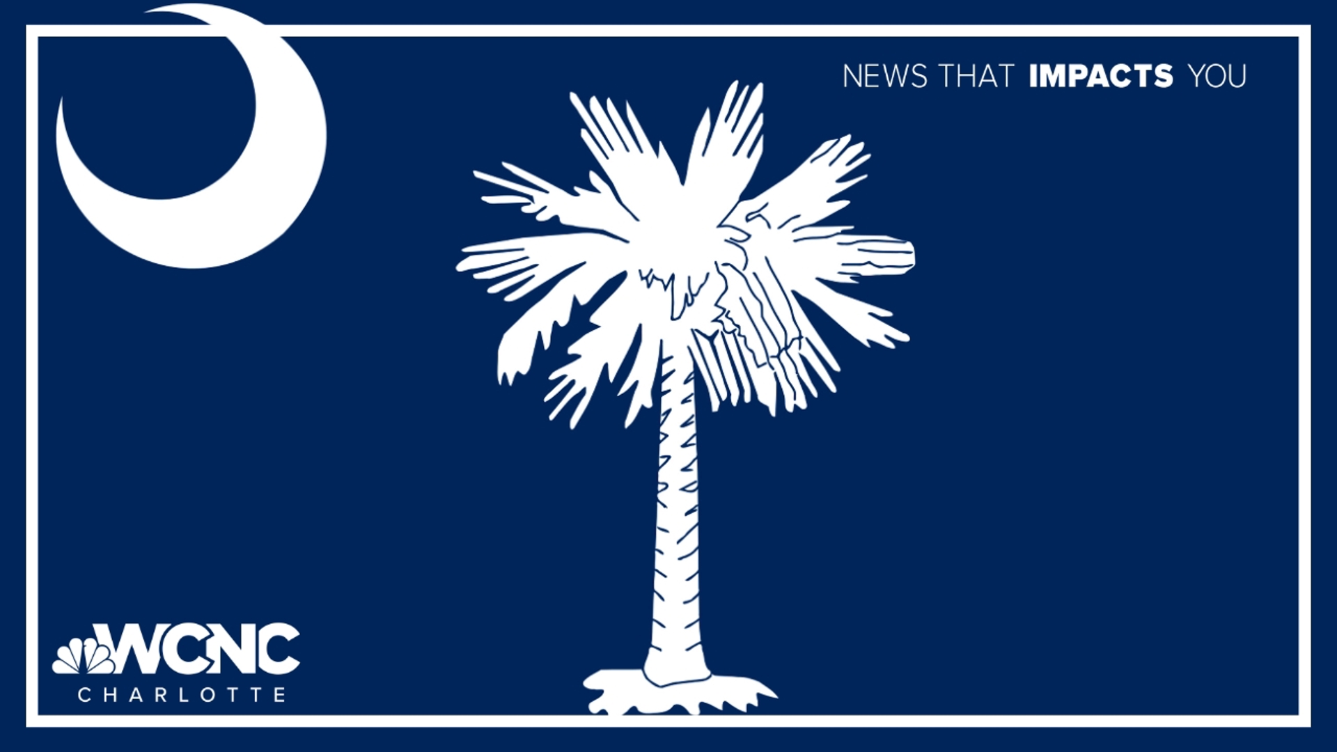 South Carolina Elections Executive Director Howard Knapp fired | wcnc.com