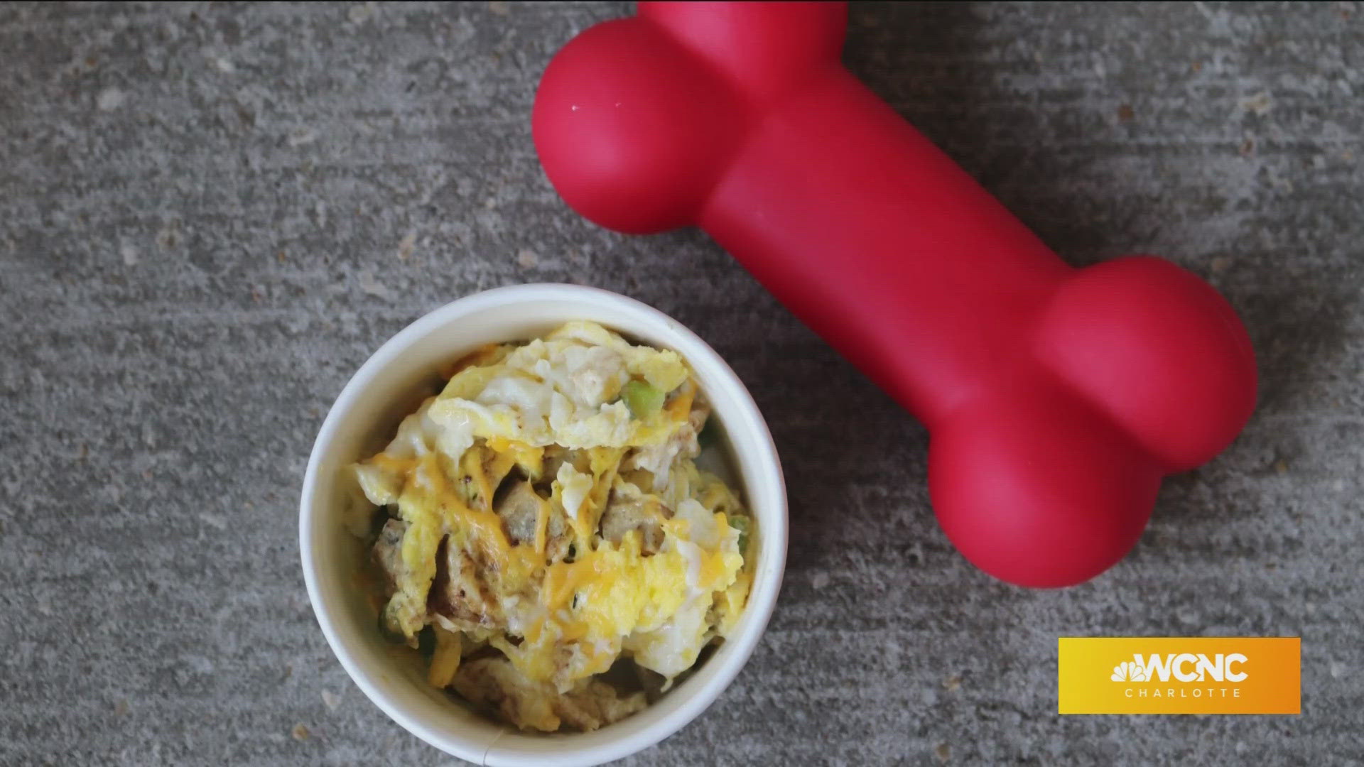 Ruby Sunshine Unleashes New Patio Pup Menu | wcnc.com
