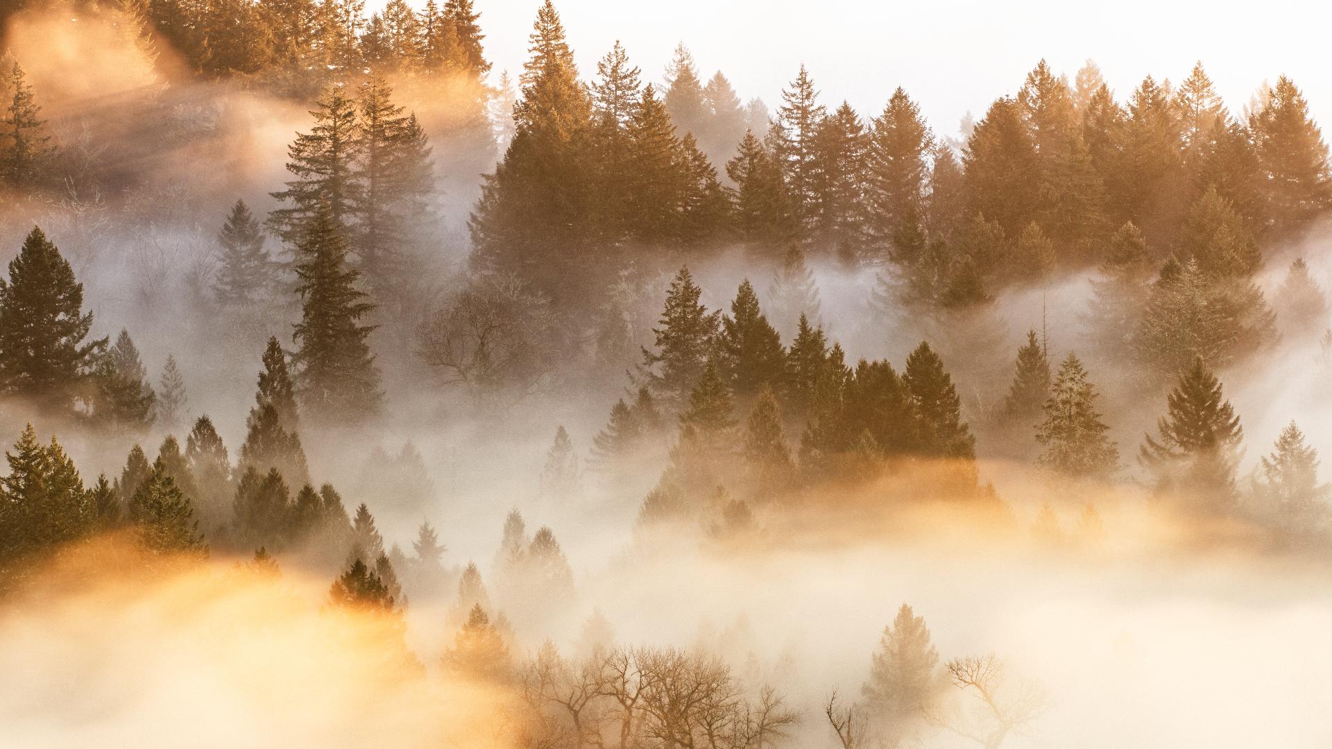 Dr. Robert Lesslie, family, laid to rest Wednesday | wcnc.com