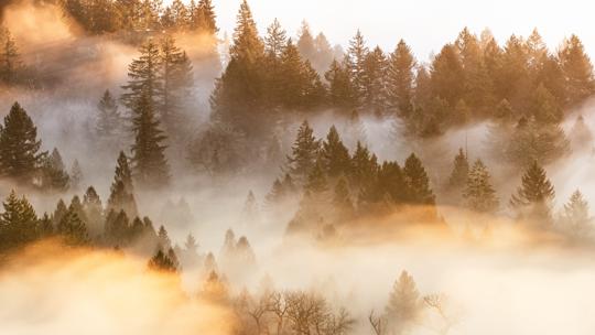 Dr. Robert Lesslie, family, laid to rest Wednesday | wcnc.com