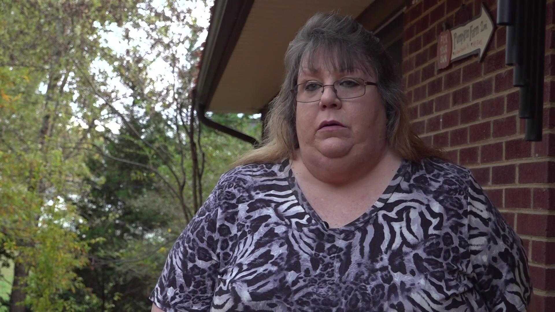 43 monkeys escape South Carolina lab: Expert reacts | wcnc.com