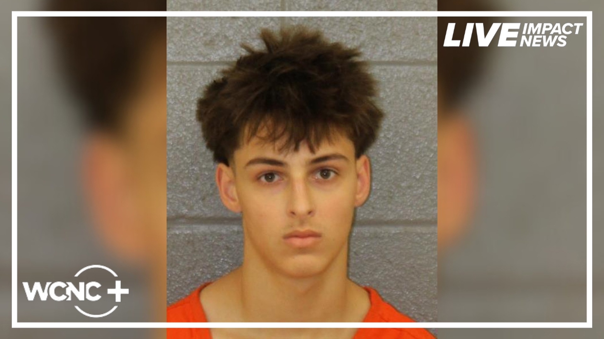 Kate, the Princess of Wales, shares emotional nature video on her 44th ...