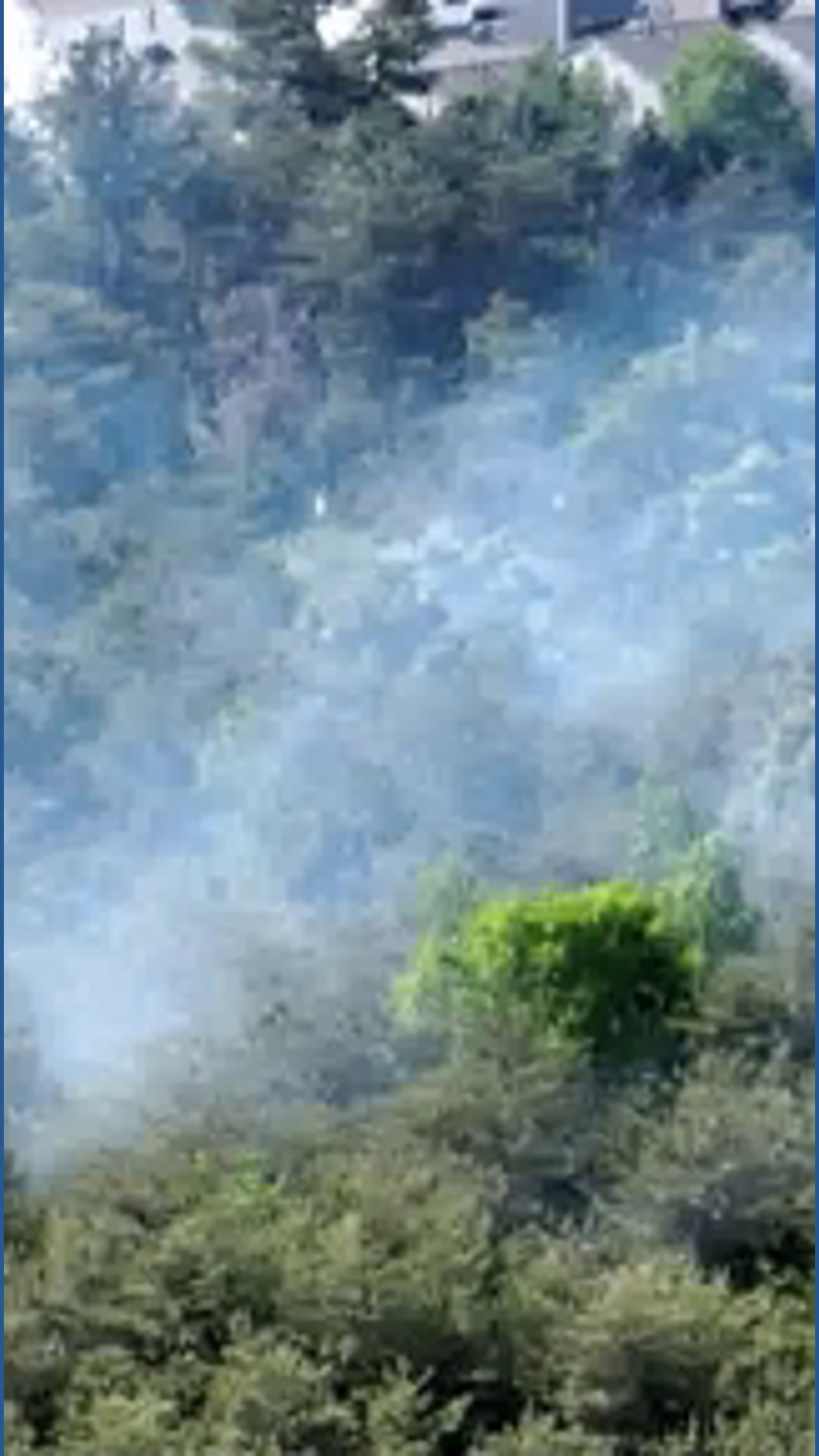 Crews respond to spreading brush fire in Steele Creek area | wcnc.com