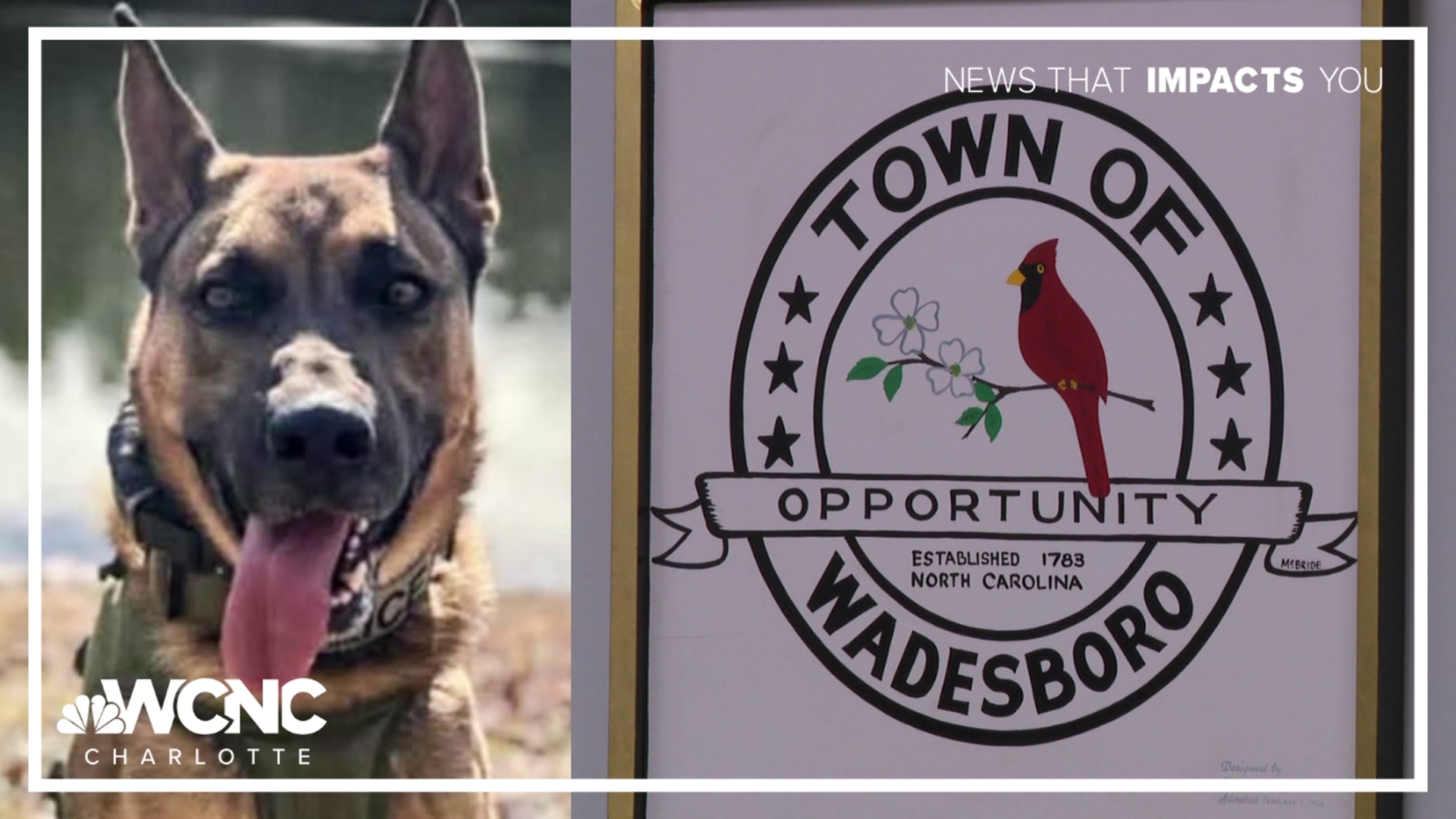 Wadesboro interim police chief retires early, citing threats after K9 ...