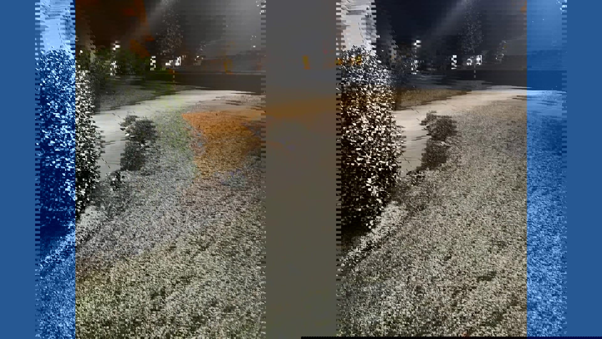 Snow flurries fall across Charlotte during November Arctic blast | wcnc.com