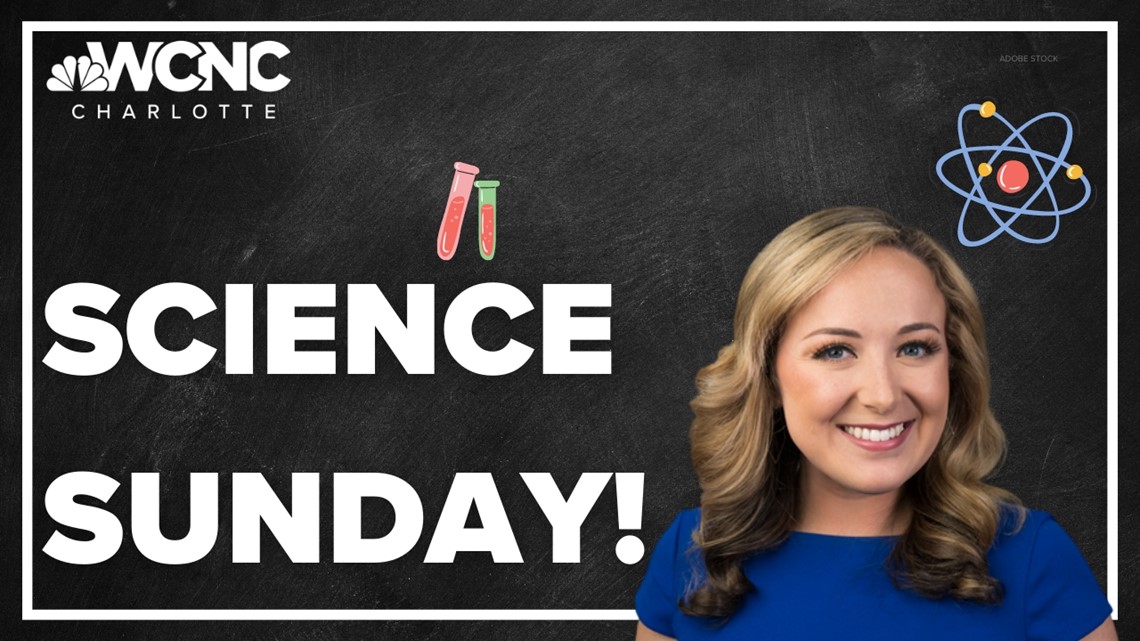 How surface tension works | Science Sunday | wcnc.com