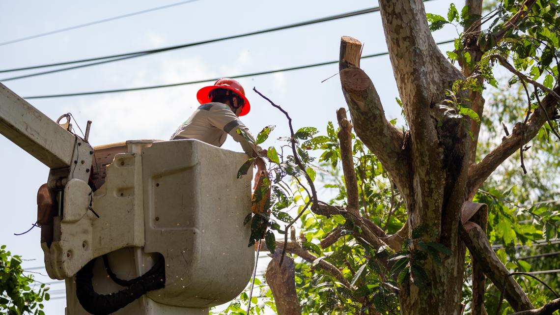 It's possible to bury power lines in NC, but it would be costly | wcnc.com