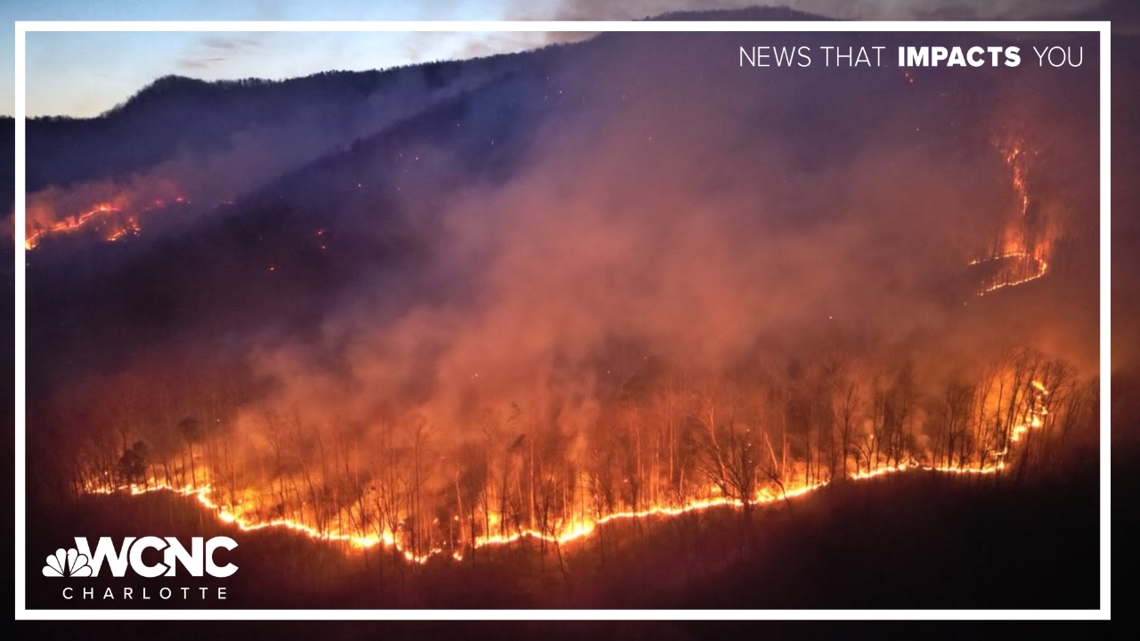 Watch | WCNC Live and On-Demand Videos | Charlotte, North Carolina ...
