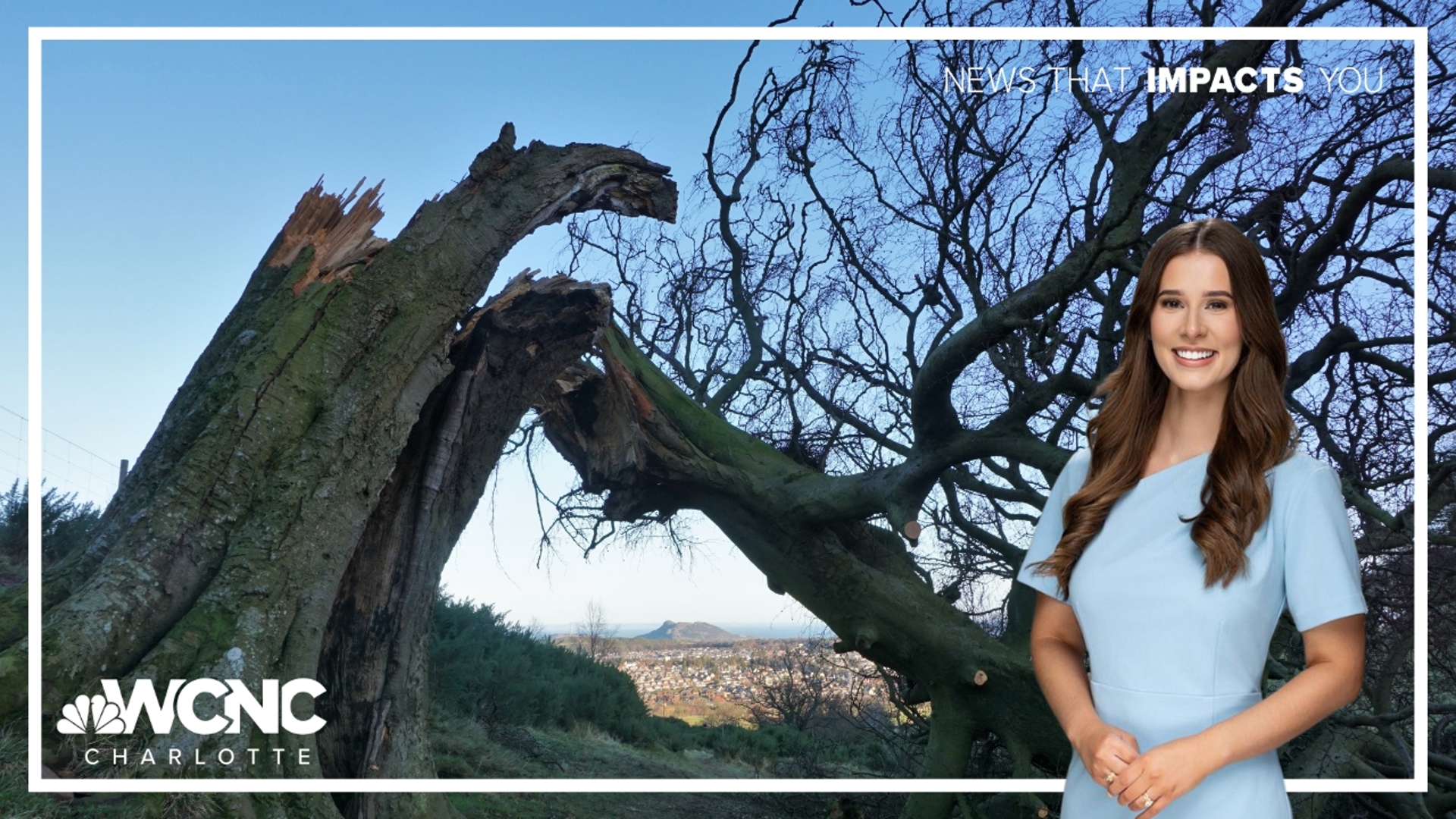 Tree falls on power lines in south Charlotte neighborhood | wcnc.com