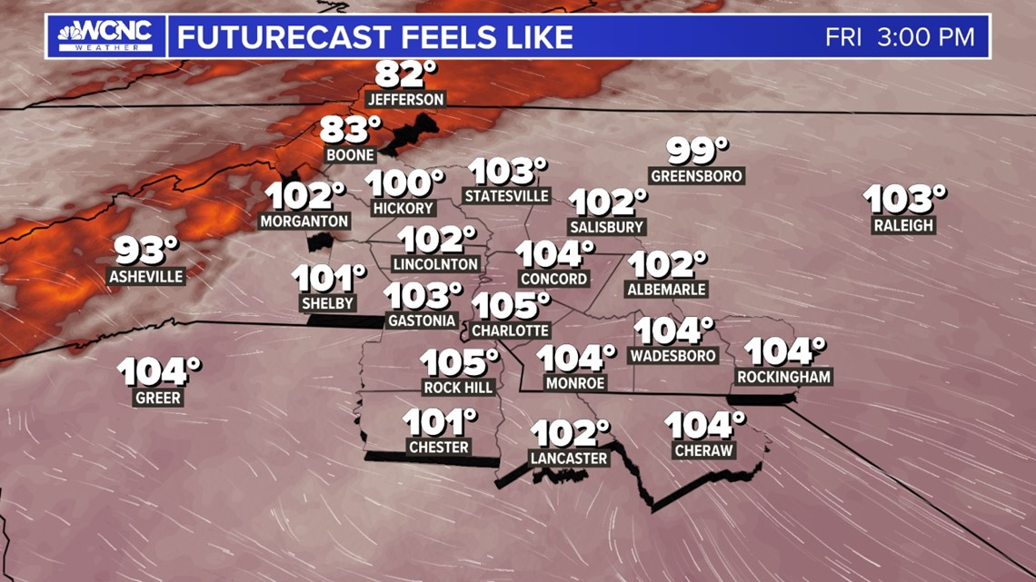 Are there more armadillos in NC? | wcnc.com
