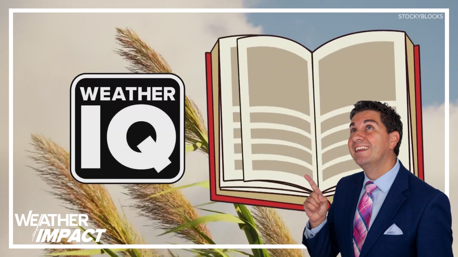 How many mph is the wind when it is windy or breezy | wcnc.com