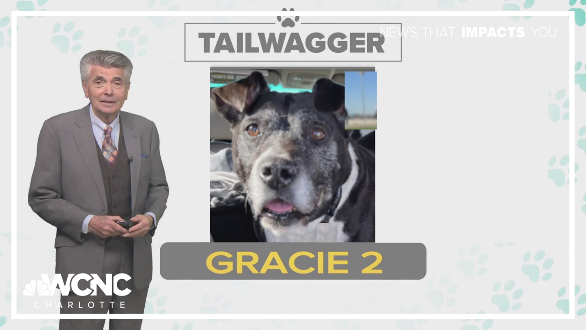 Lego announces new line of 'Smart Bricks' that interact with users ...