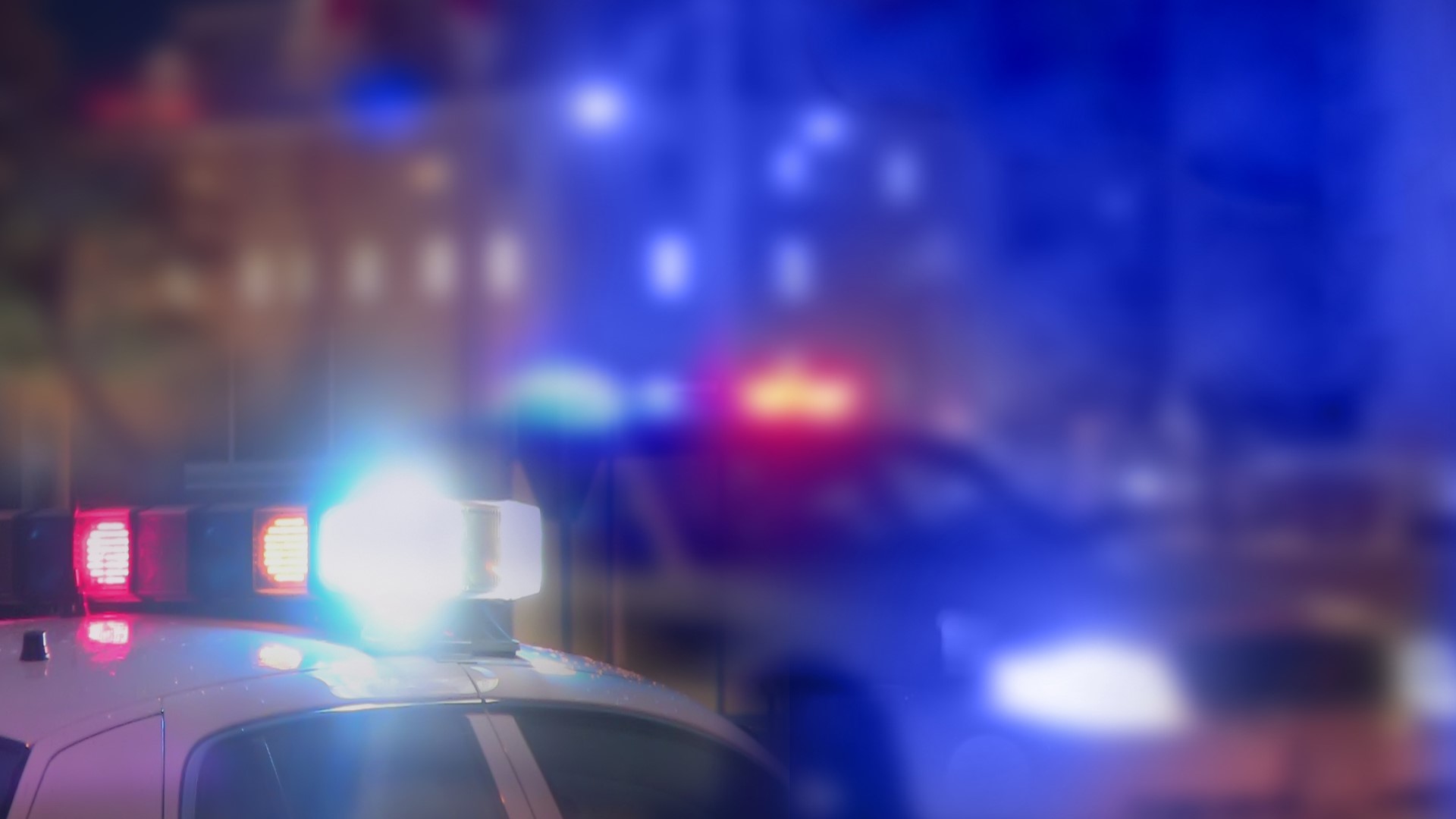 Are there more armadillos in NC? | wcnc.com