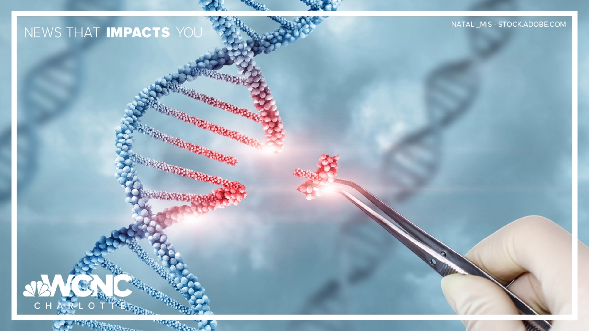 New gene-editing drug shows promise in cutting LDL cholesterol by 50% ...