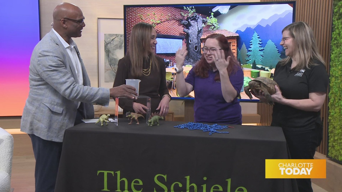 Community Stem Night Returns to the Schiele with Free Admission | wcnc.com