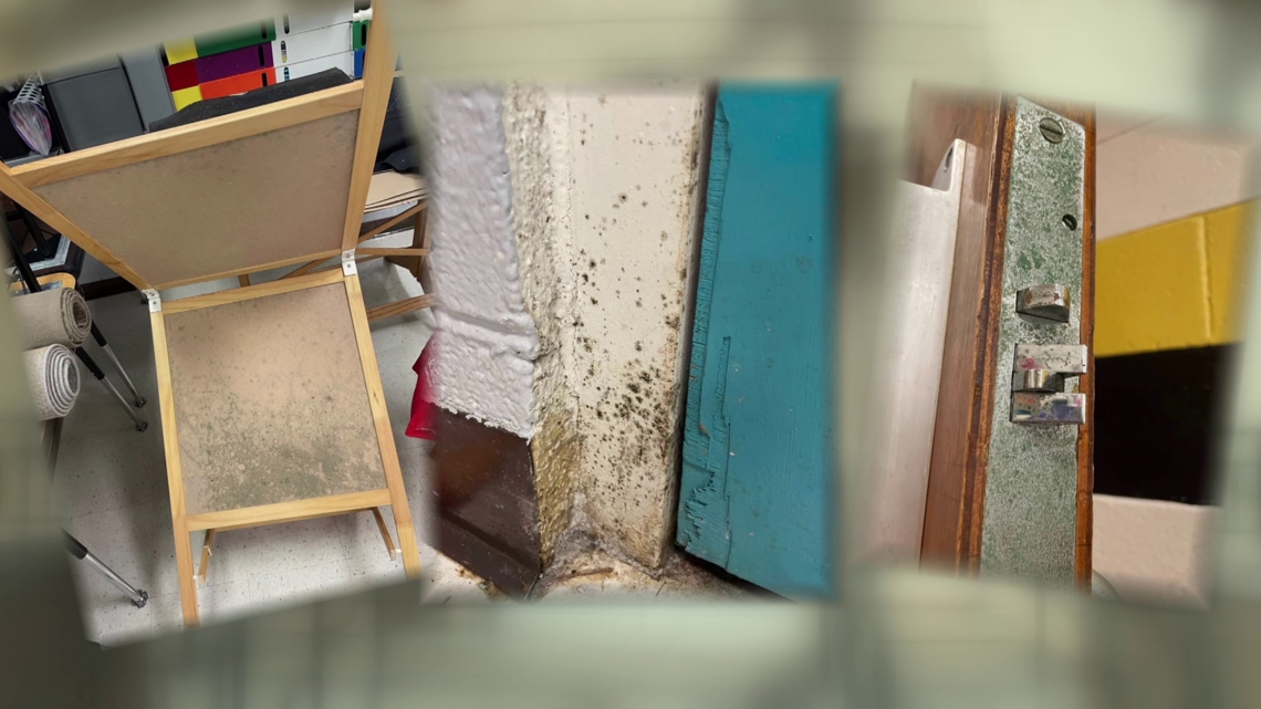 Wawa opening 8 stores in North Carolina | wcnc.com