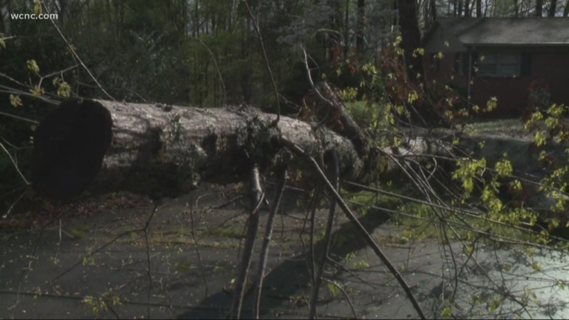 Cleanup begins after powerful storms take down trees, power lines across Carolinas | wcnc.com