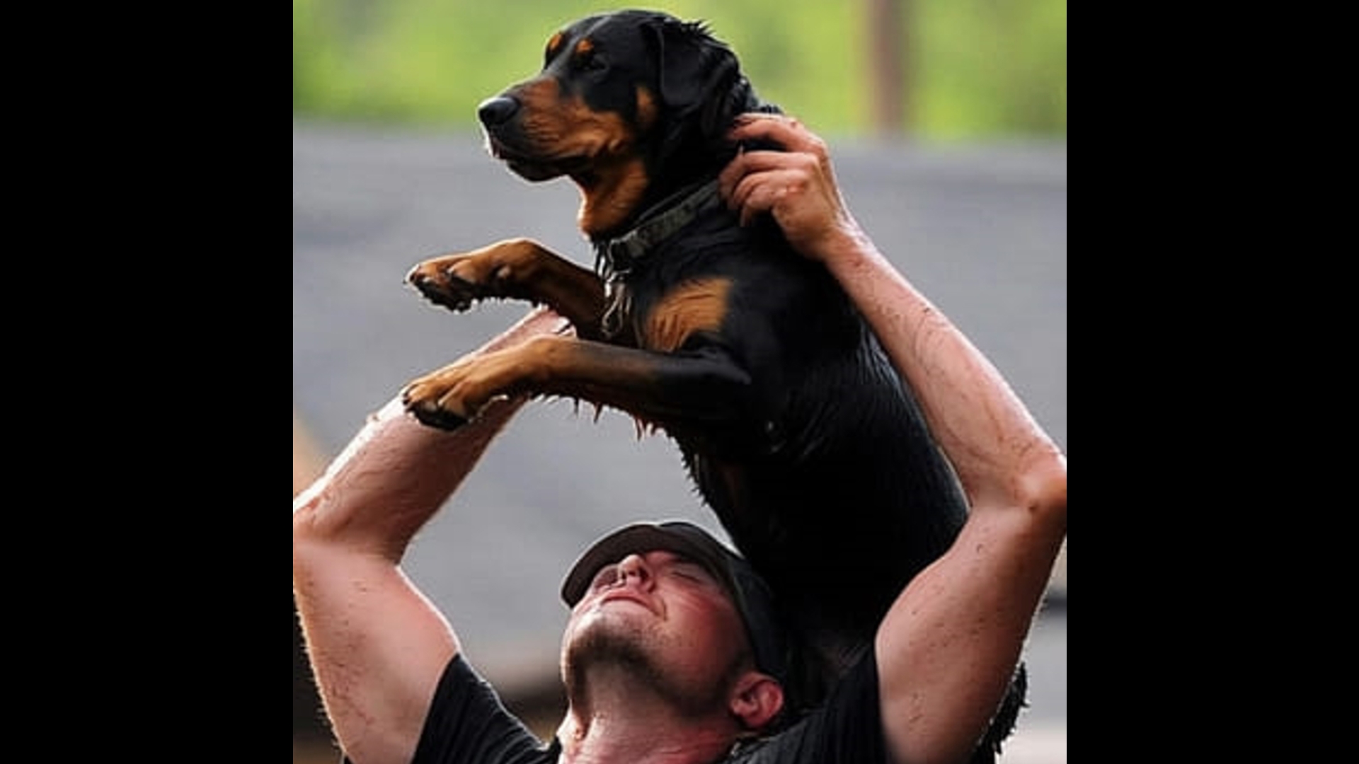 How to spot AI-generated Hurricane Helene photos | wcnc.com