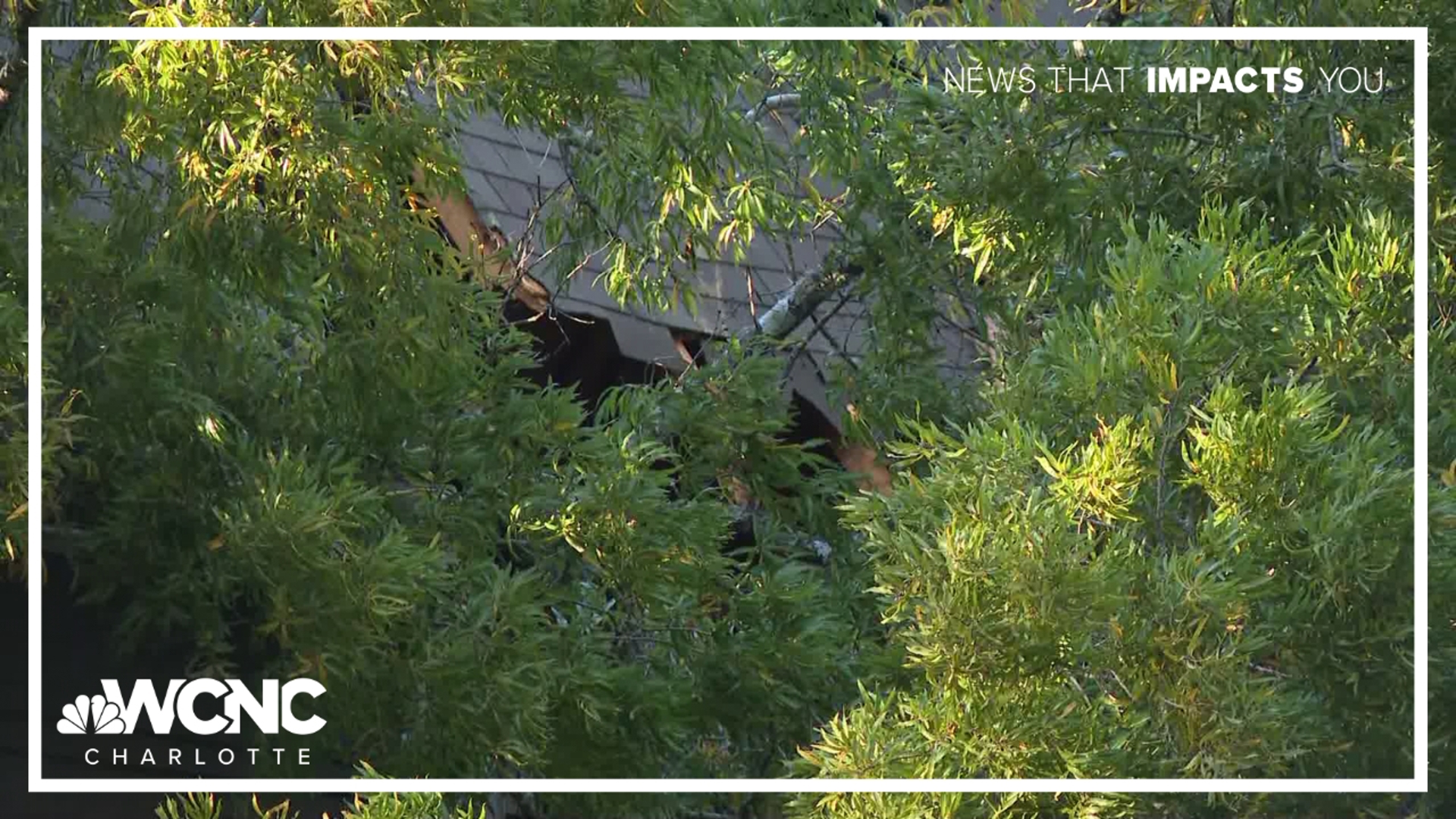 Person seriously hurt after tree crashes into east Charlotte apartment ...