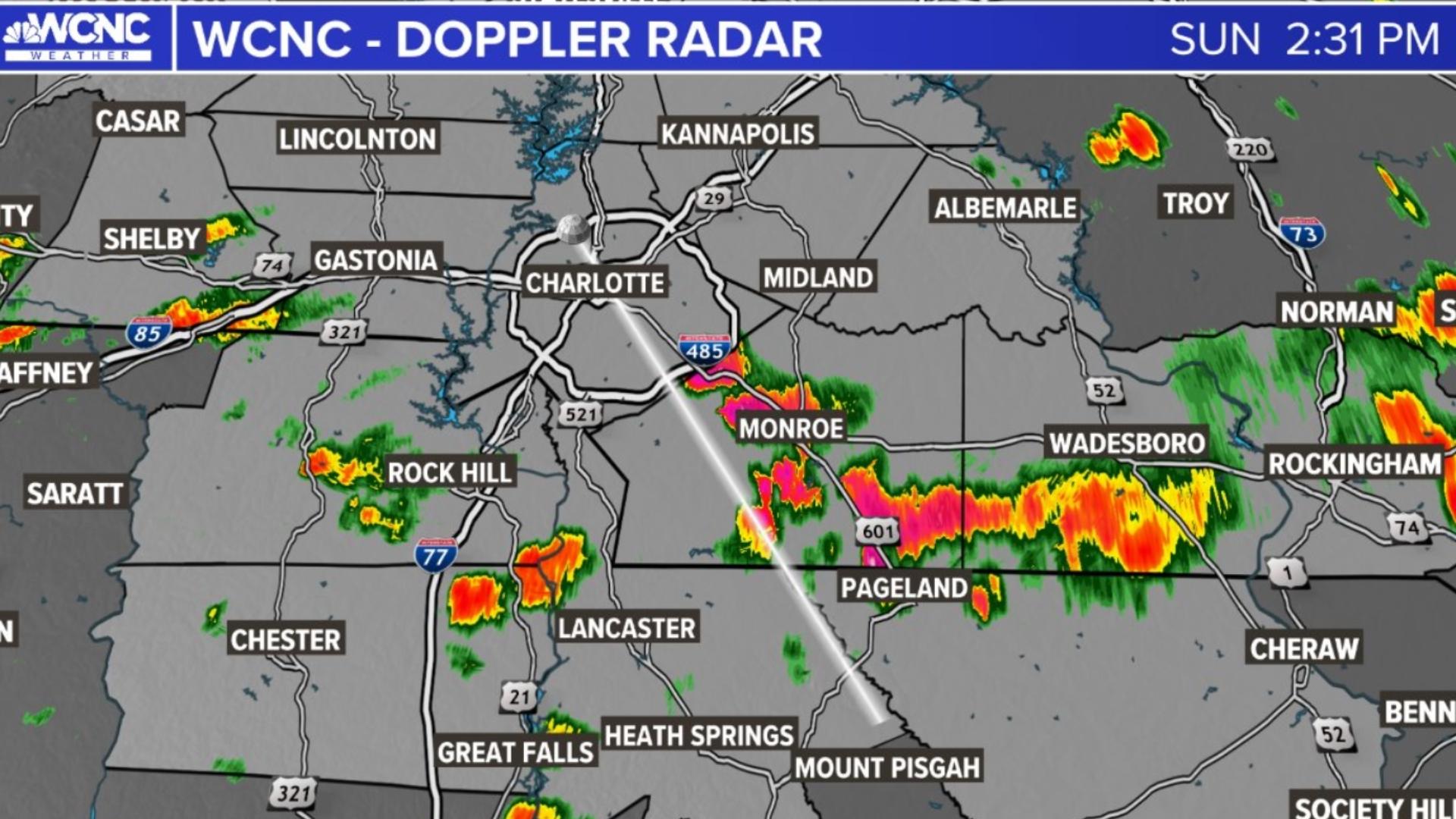 Are there more armadillos in NC? | wcnc.com