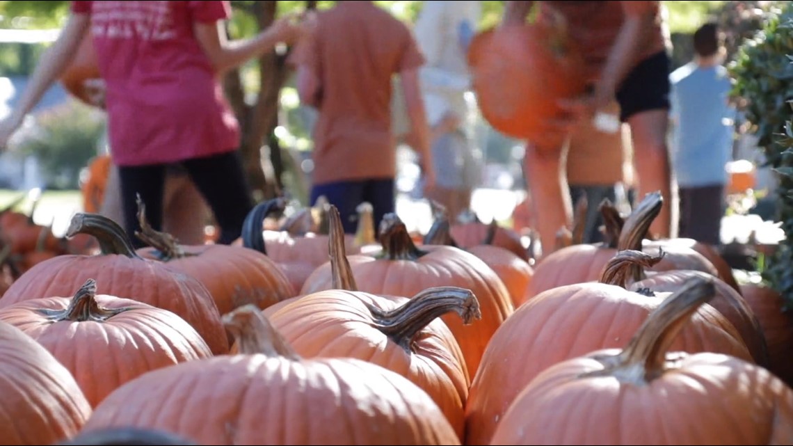 Davidson pumpkin patch benefits youth programs, homeless shelters ...