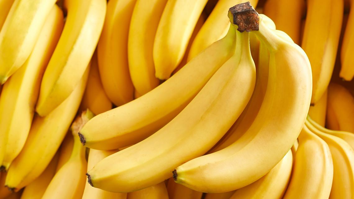 Scientists seeking solution to prevent bananas from going extinct ...