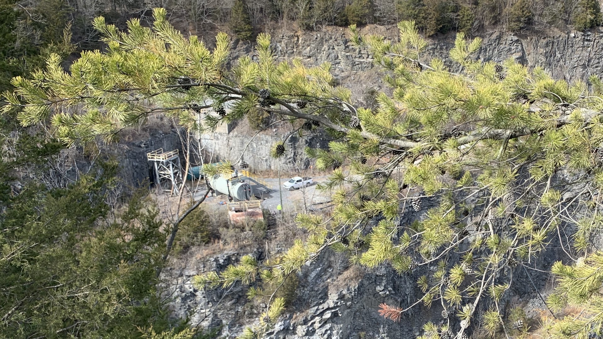 Rescuers in Charlotte use crane to lift trapped dog out of quarry ...