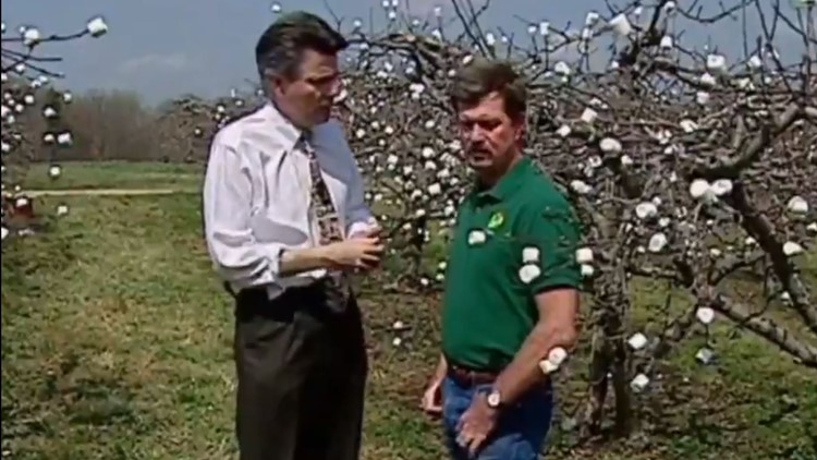 A look at North Carolina's marshmallow 'crop' industry | wcnc.com