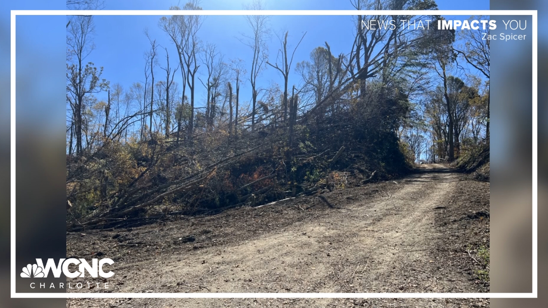 Helene created forest gaps that may have fueled North Carolina wildfires | wcnc.com