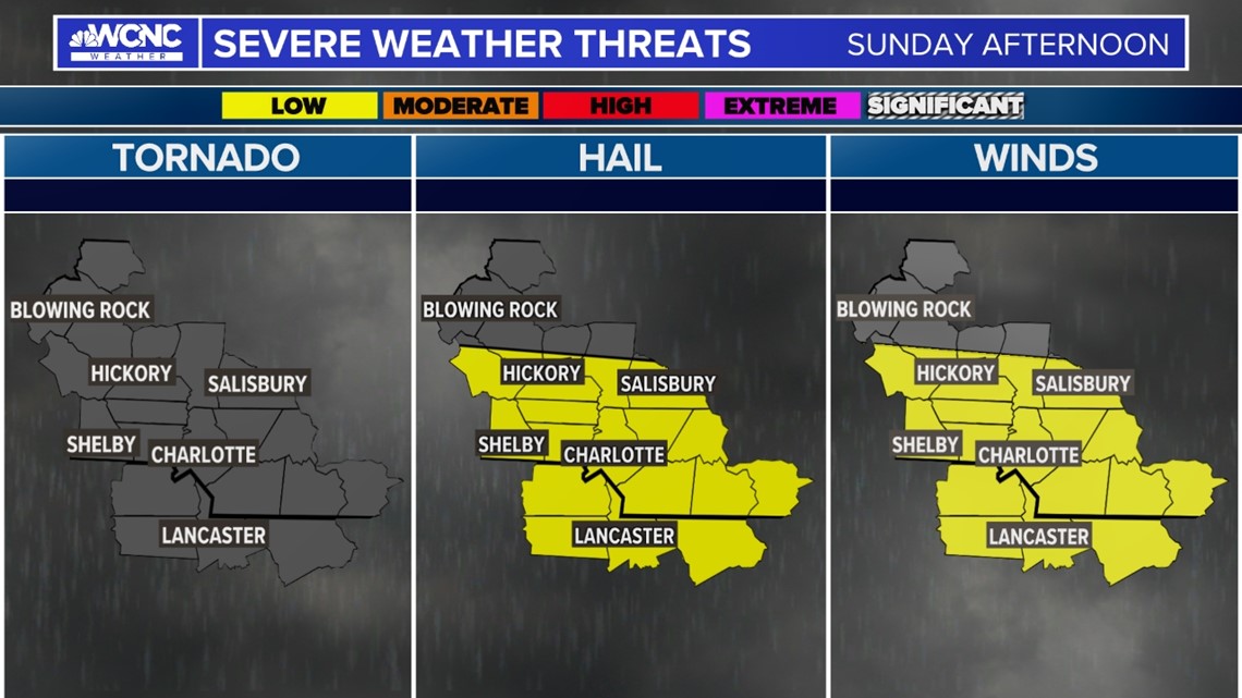 Photo of 13 foot alligator goes viral | wcnc.com