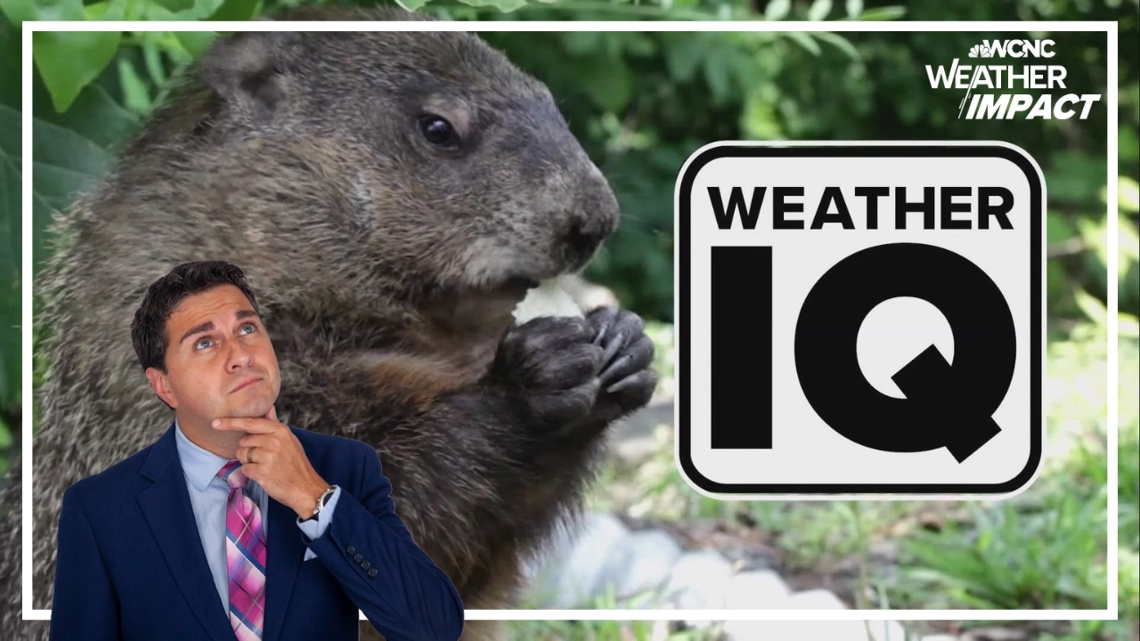 How did Groundhog Day start? | Weather IQ | wcnc.com