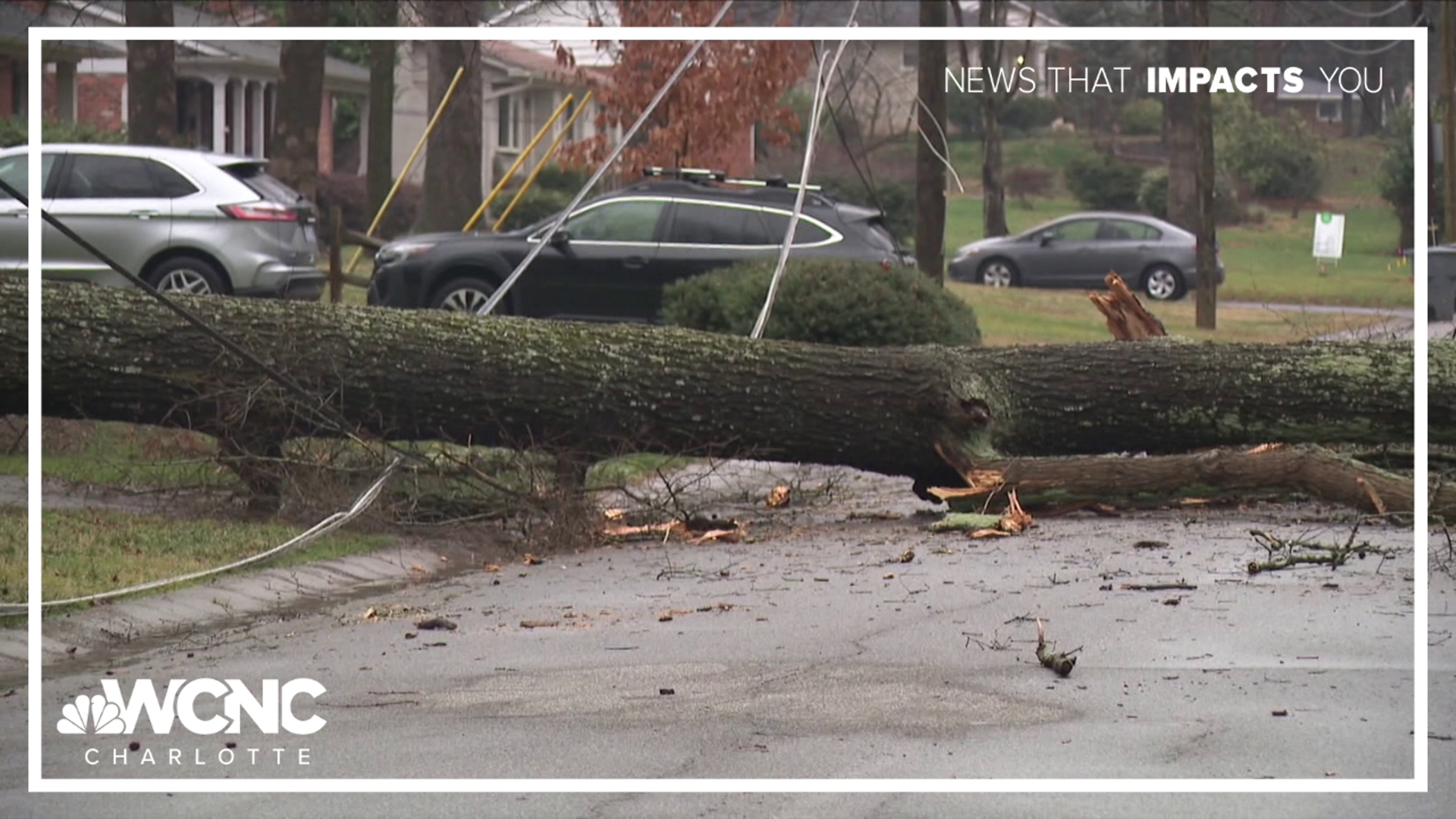 Tree falls on power lines in south Charlotte neighborhood | wcnc.com