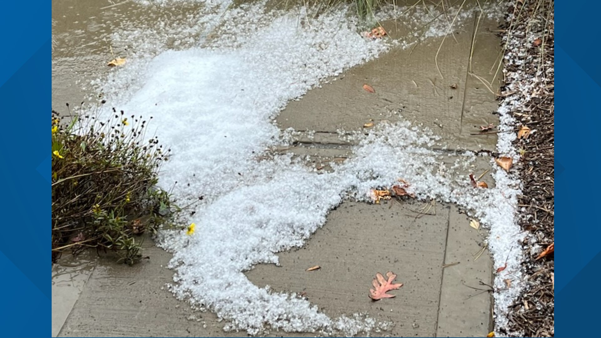 Thunderstorms in Charlotte Friday | wcnc.com
