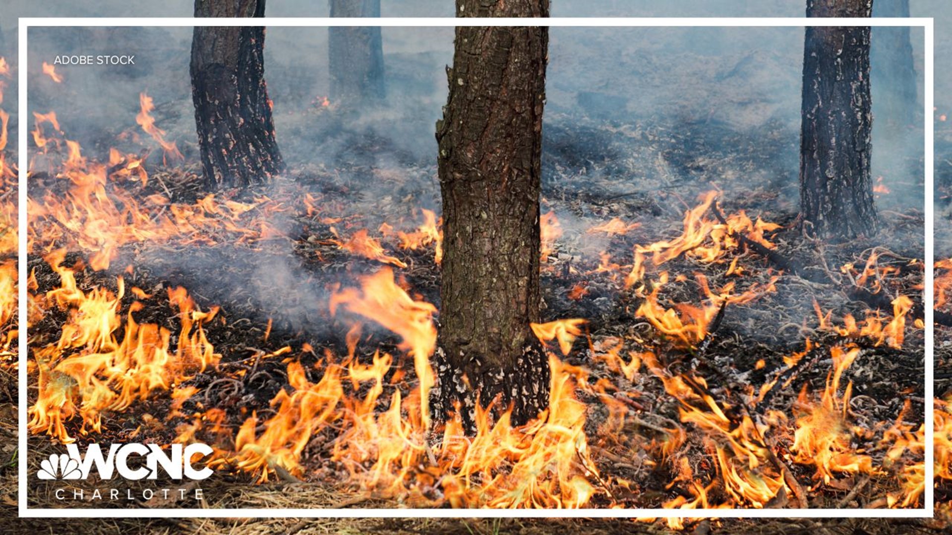 Controlled burn planned in Mecklenburg County on Friday | wcnc.com