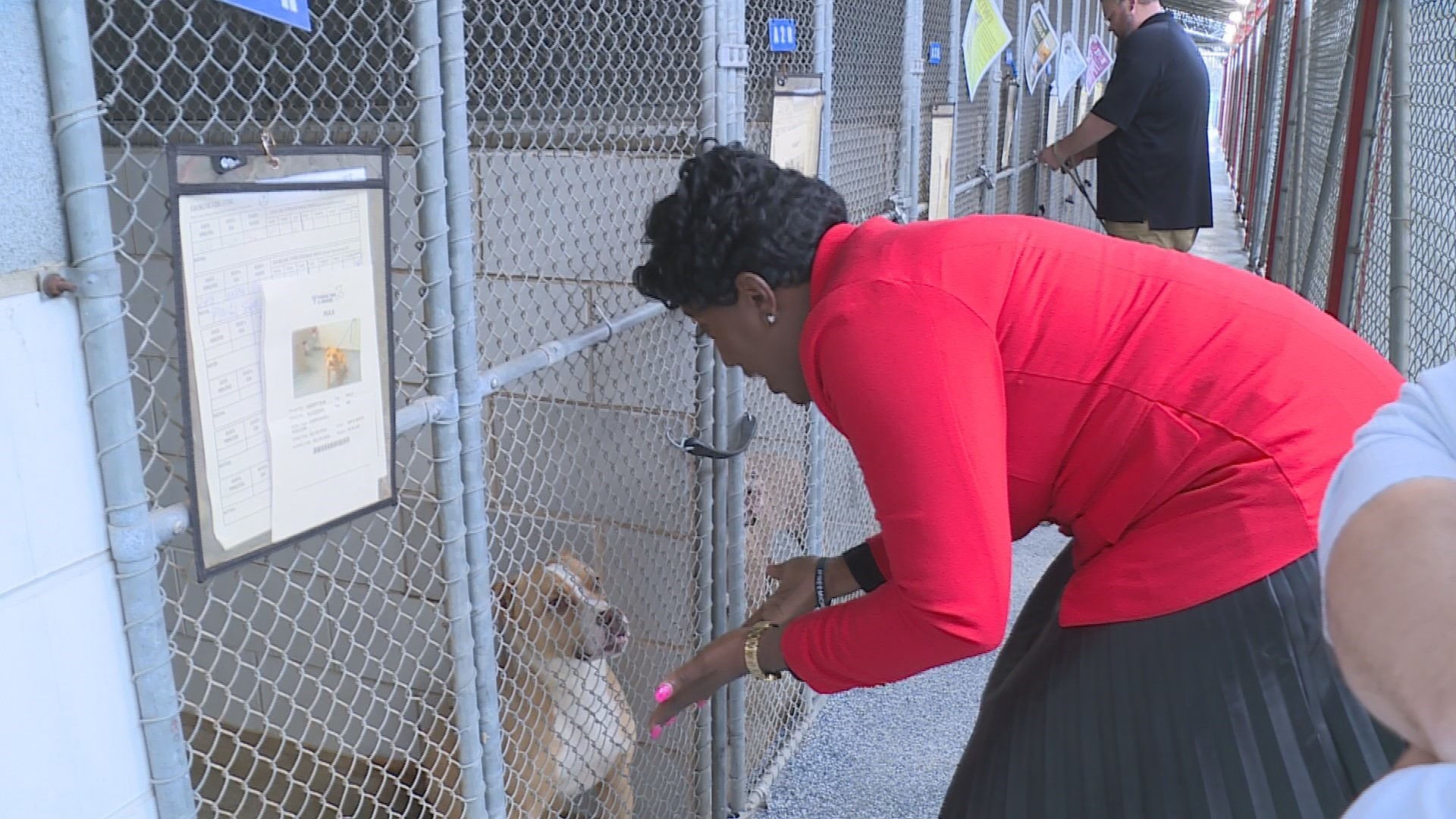 Charlotte animal shelter at capacity, discussing expansion | wcnc.com