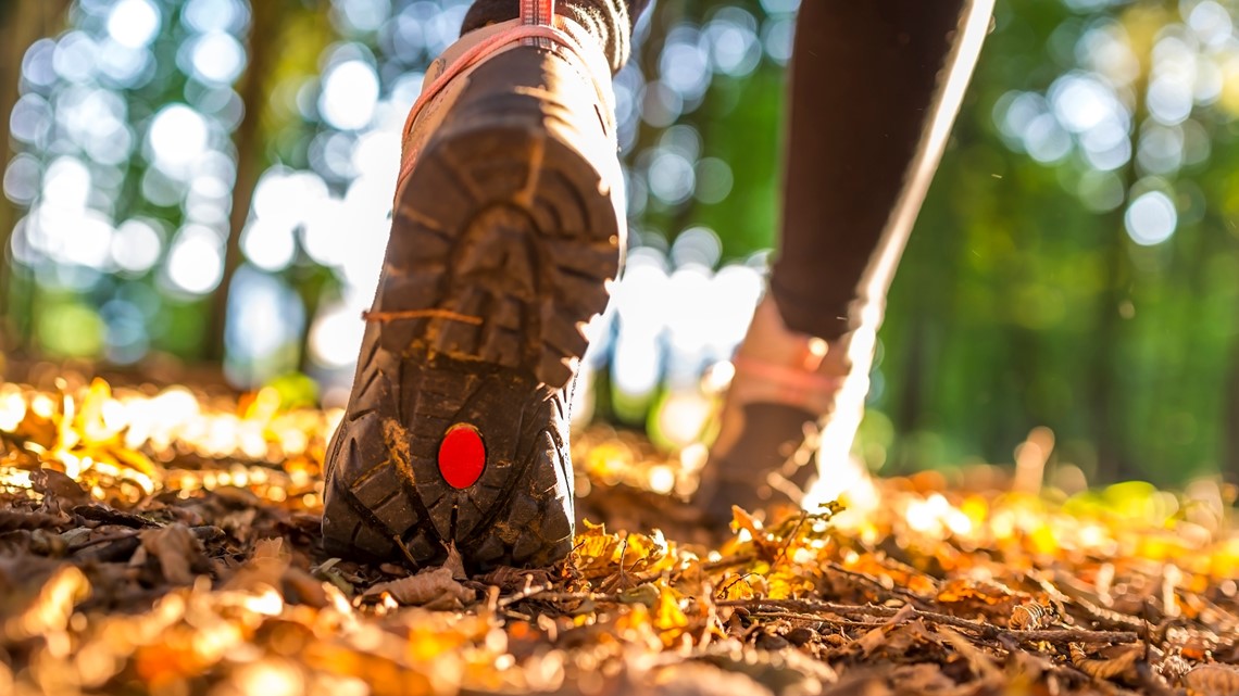 Warning about the Lone Star tick from doctors in the Carolinas | wcnc.com