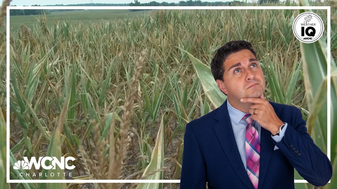 Effects of the drought in North Carolina | Weather IQ | wcnc.com