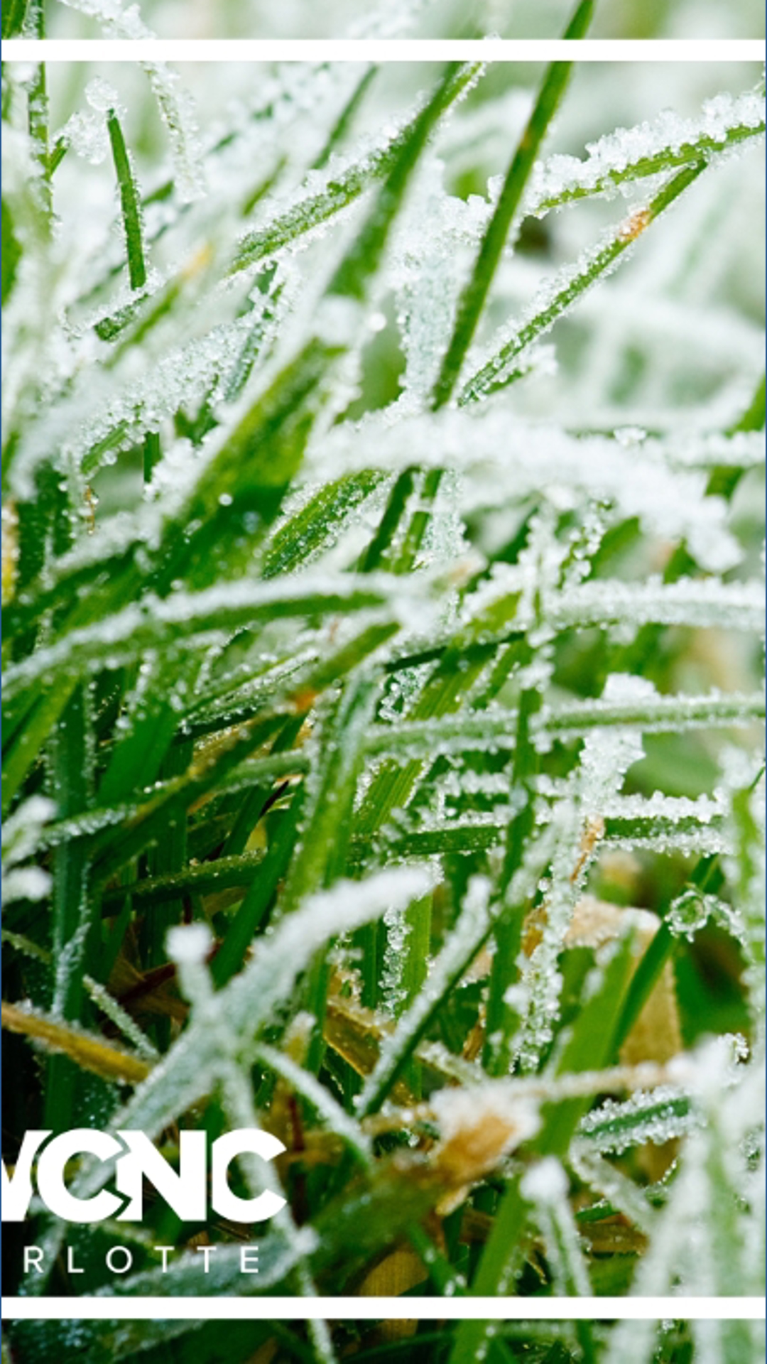 Understanding different types of frost this winter | wcnc.com