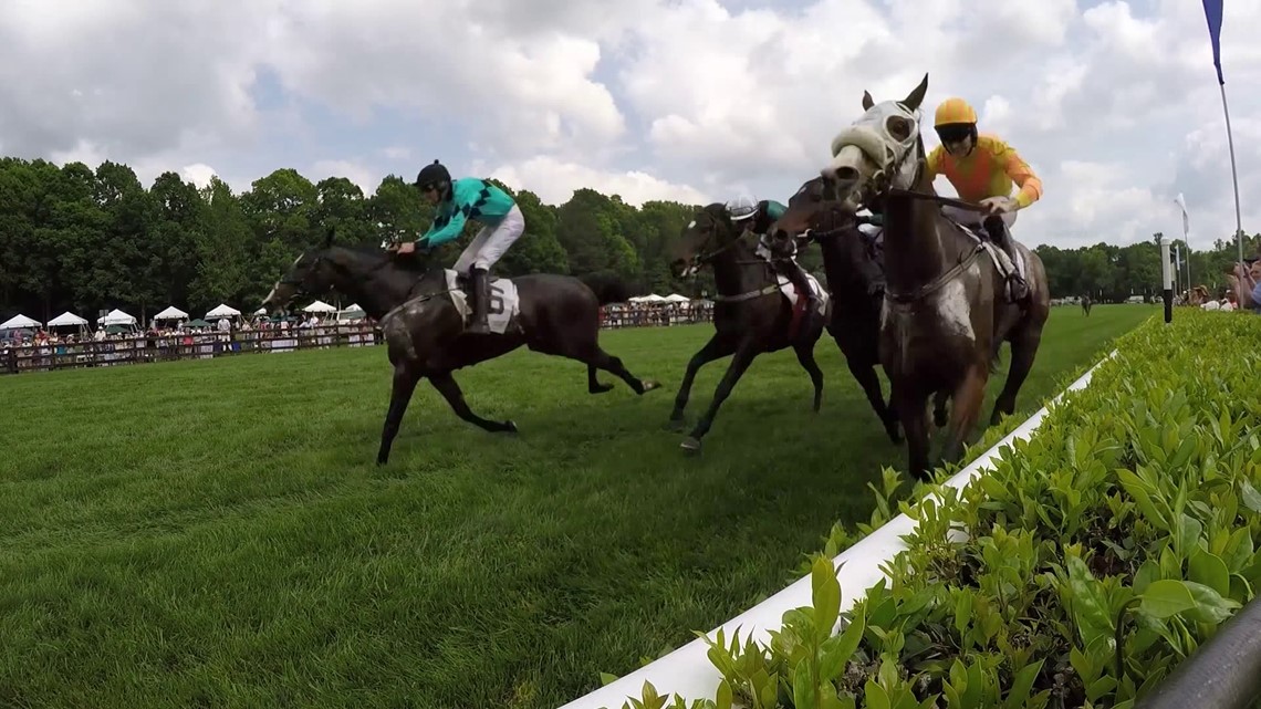 Queen's Cup Steeplechase 2024 is canceled | wcnc.com