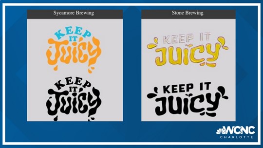 Pits & Giggles Rescue rescue pitbull maternity photoshoot | wcnc.com