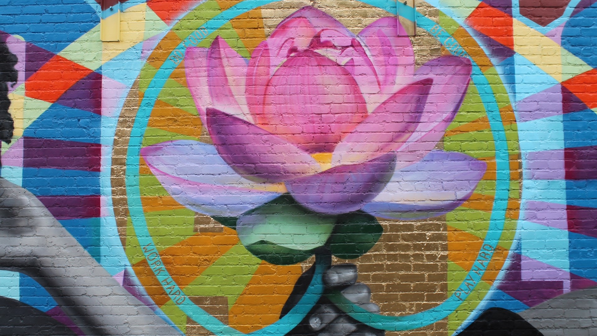 After NoDa mural mistakenly covered, NC artist creates a new one | wcnc.com