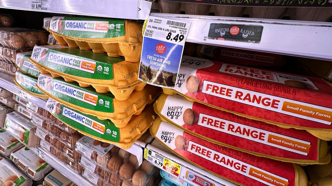 What egg labels like organic, cage-free and free-range really mean ...
