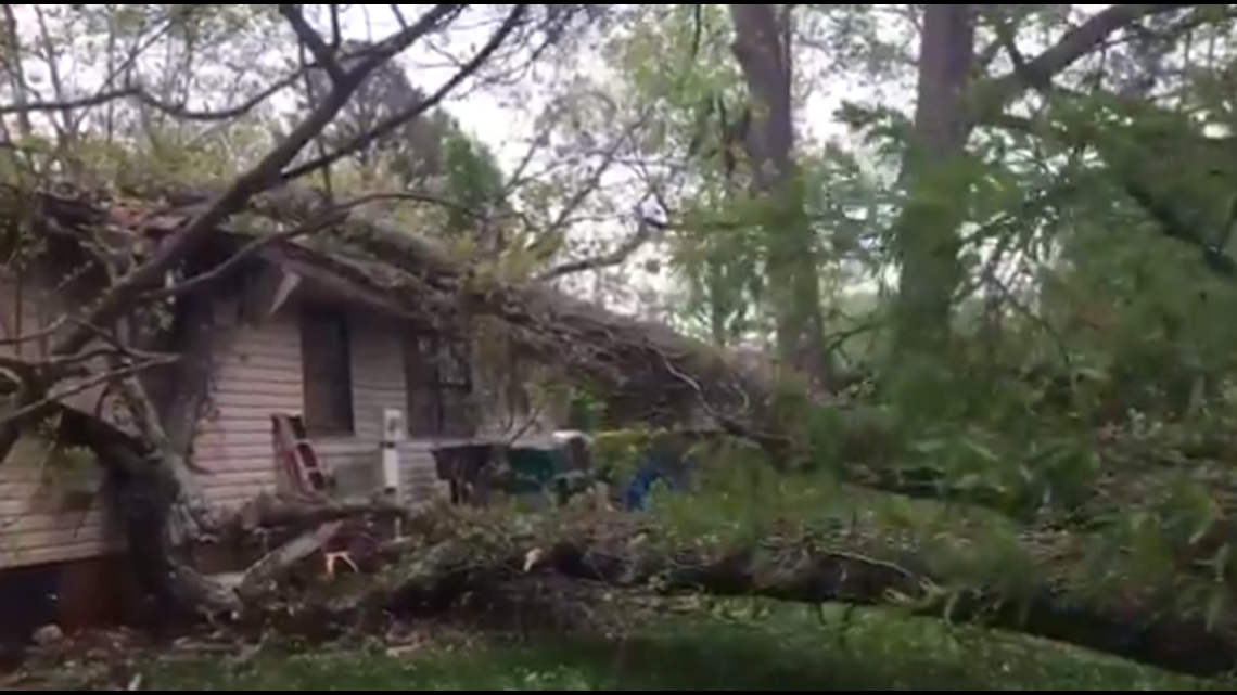 Strong storms bring down trees and power lines | wcnc.com